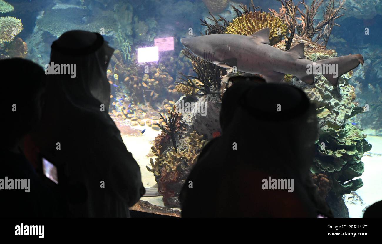 220705 -- HAWALLI KUWAIT, July 5, 2022 -- People view sand tiger sharks ...