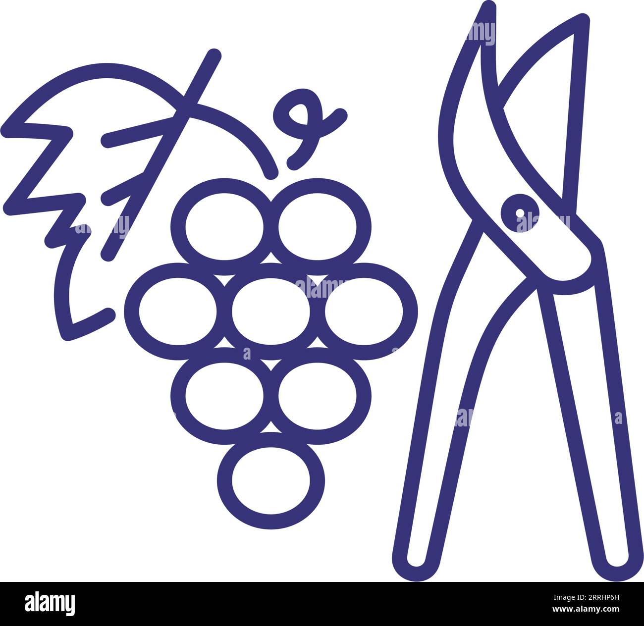 Grape cutting Stock Vector Images - Alamy