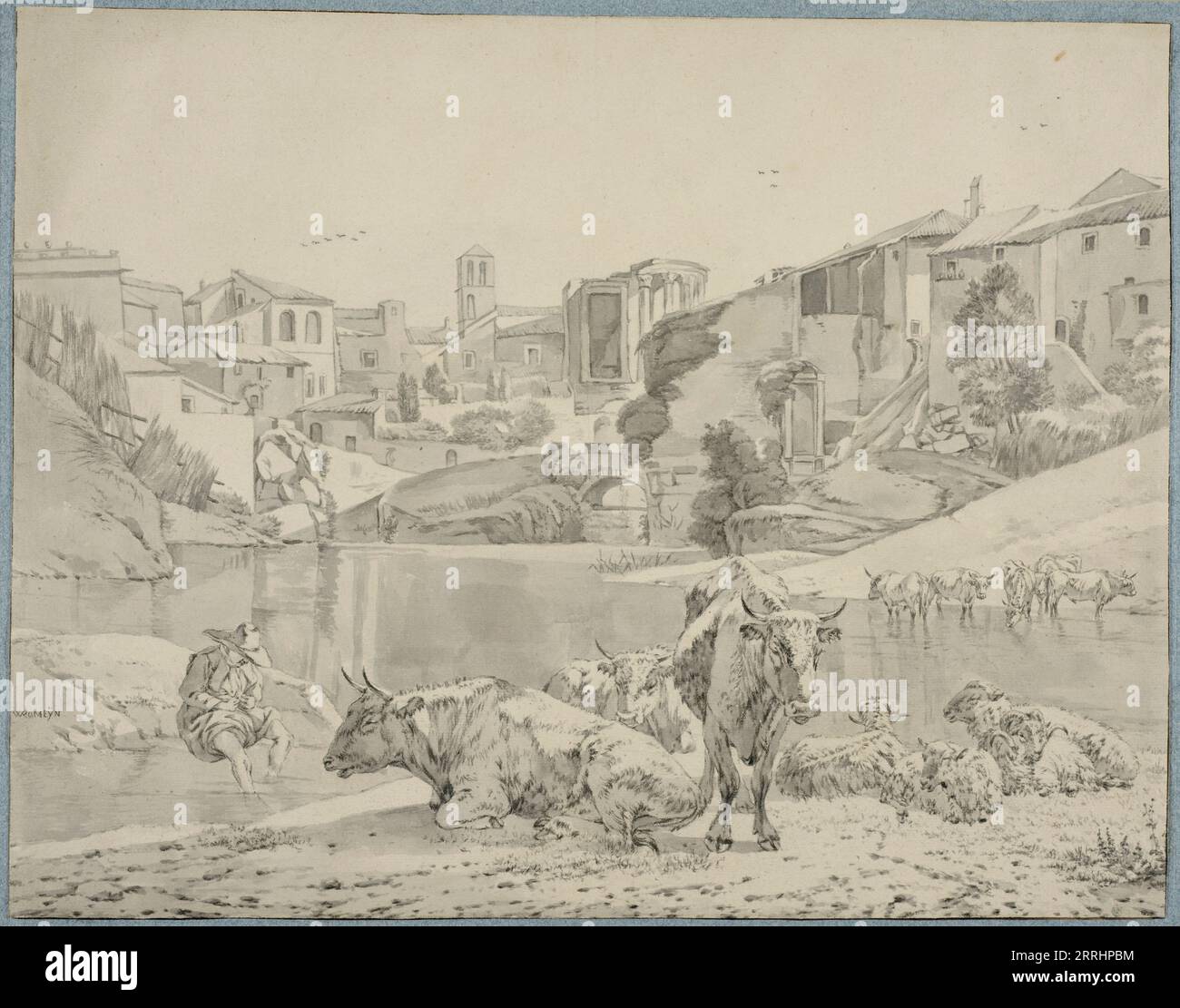 Cattle on the river Aniene in Tivoli Stock Photo - Alamy