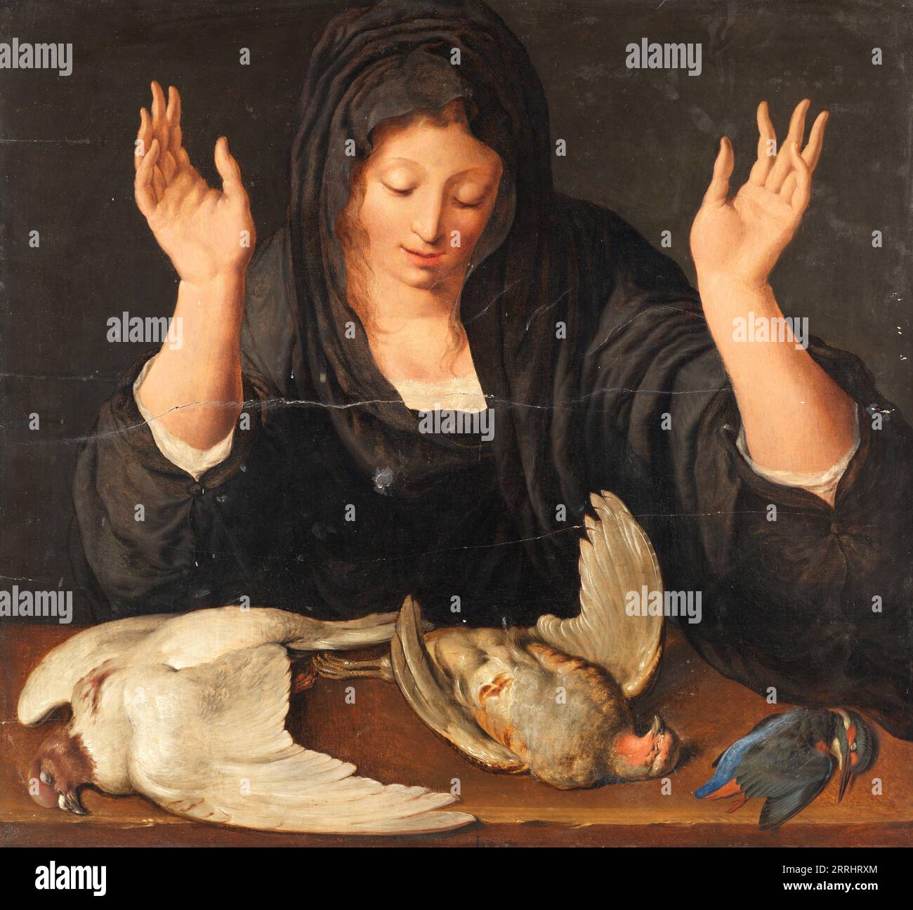 Dead dove hi-res stock photography and images - Alamy