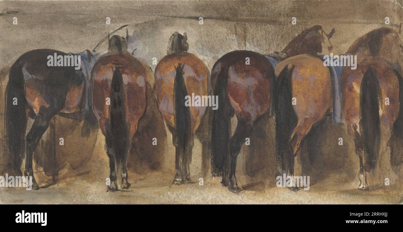 Stable side position hi-res stock photography and images - Alamy