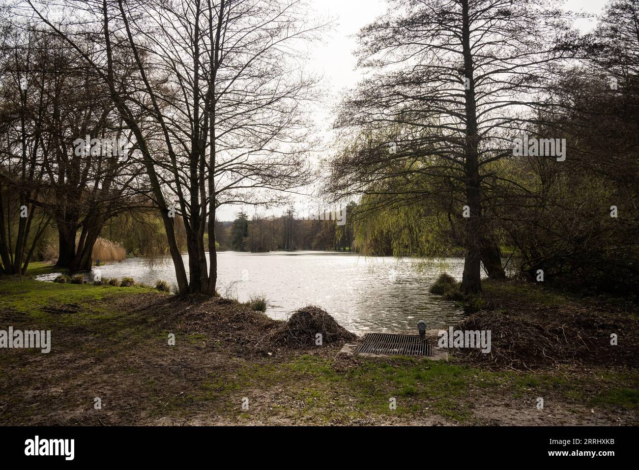 Königslutter am Elm, Germany Stock Photo - Alamy