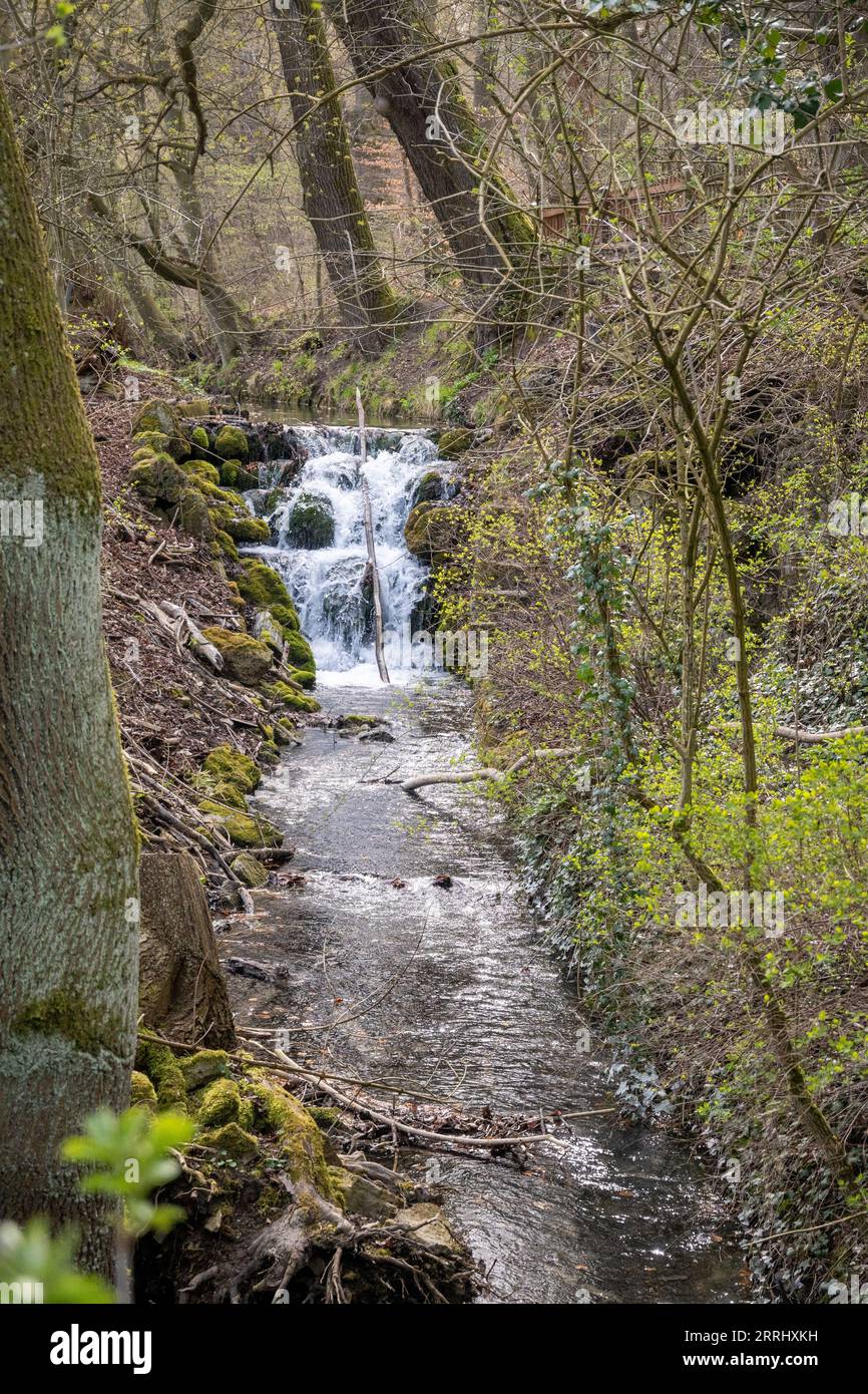 Königslutter am Elm, Germany Stock Photo - Alamy