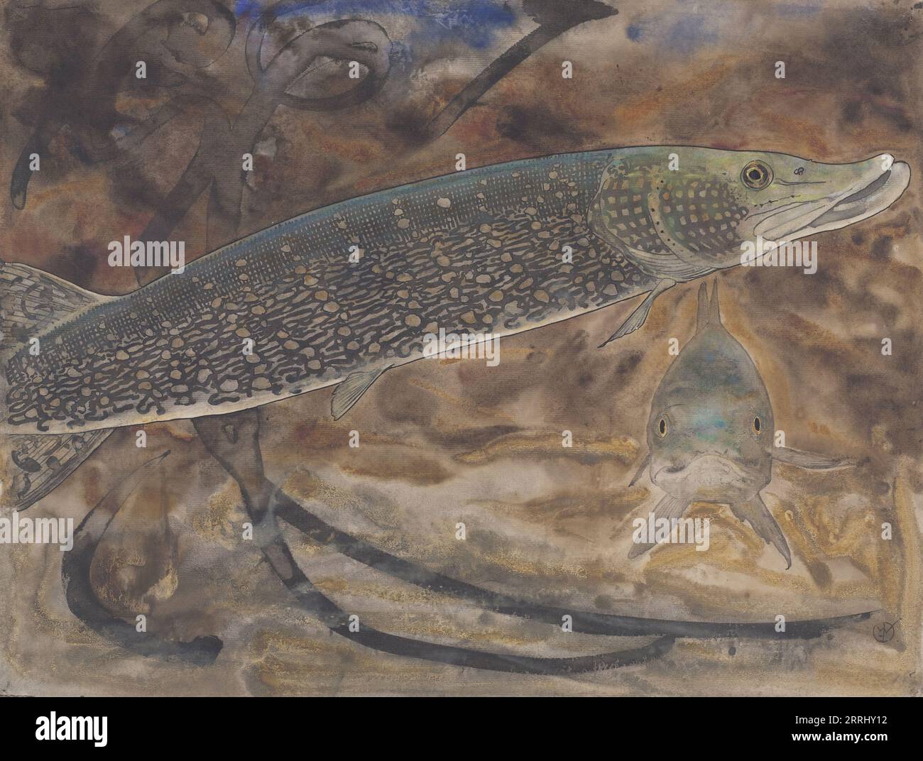 Two Pike in an aquarium, seen from the side and from the front, c.1876 ...