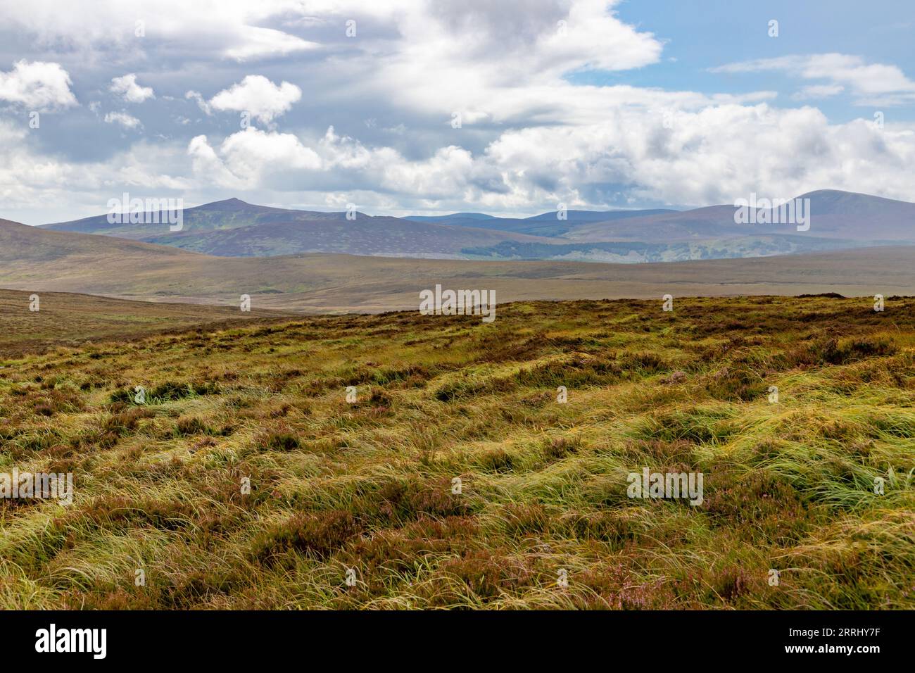 Bogs with mountains in background in Sally gap, Wicklow, Ireland Stock ...