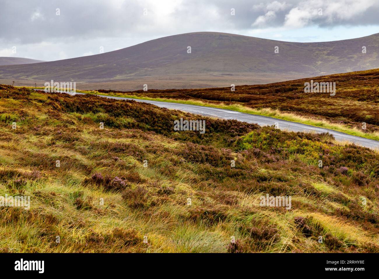 Road, Bogs with mountains in background in Sally gap, Wicklow, Ireland ...