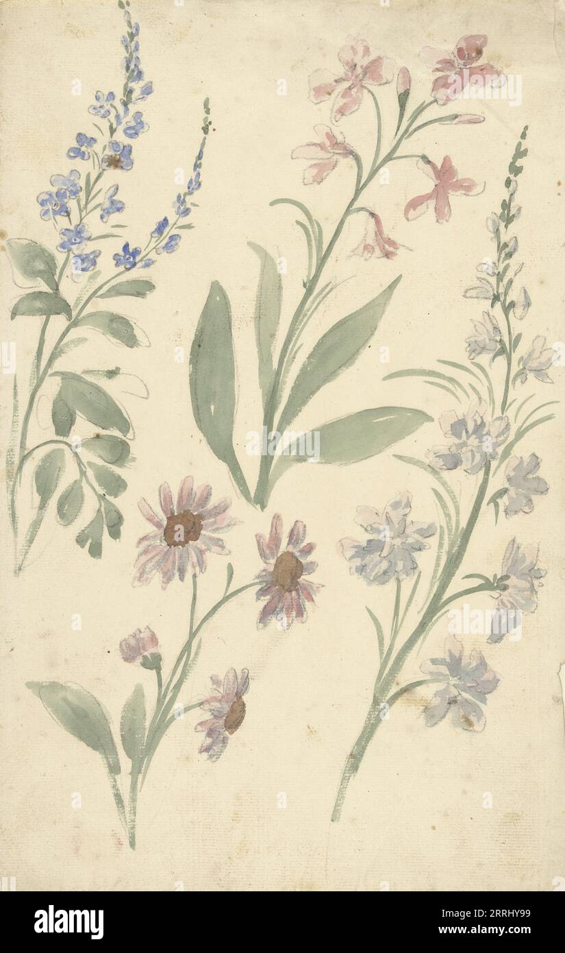 Four flower studies hi-res stock photography and images - Alamy