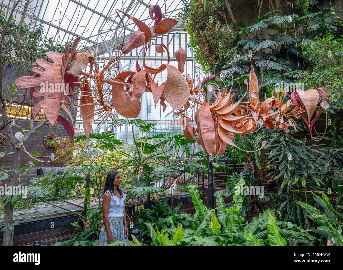 Barbican Conservatory, Barbican Centre, London, UK. 8th Sept, 2023. The ...