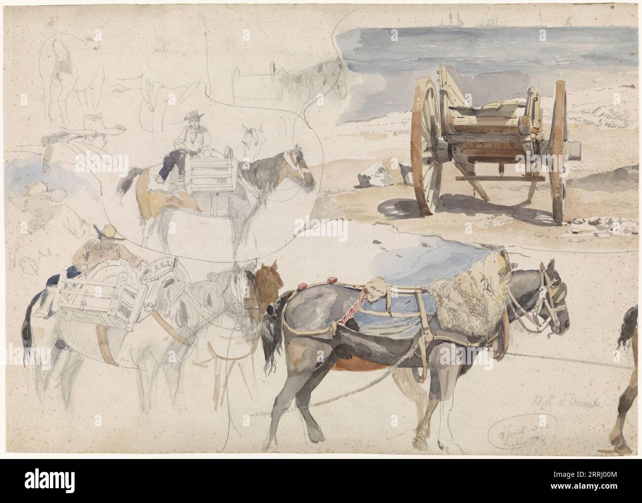 Shell cart hi-res stock photography and images - Alamy