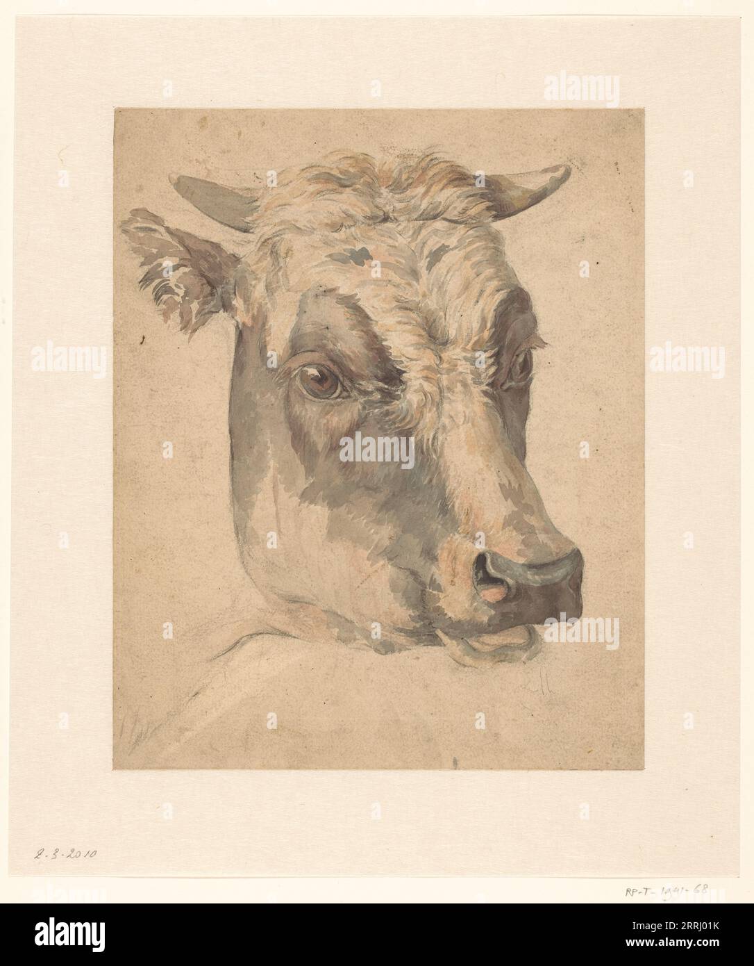 Head of a cow, 1792-1810 Stock Photo - Alamy