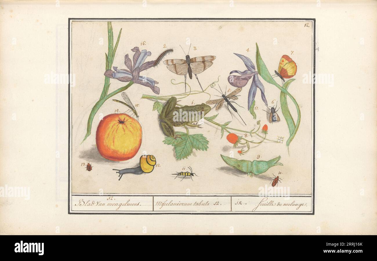 Historical text on natural history hi-res stock photography and images ...