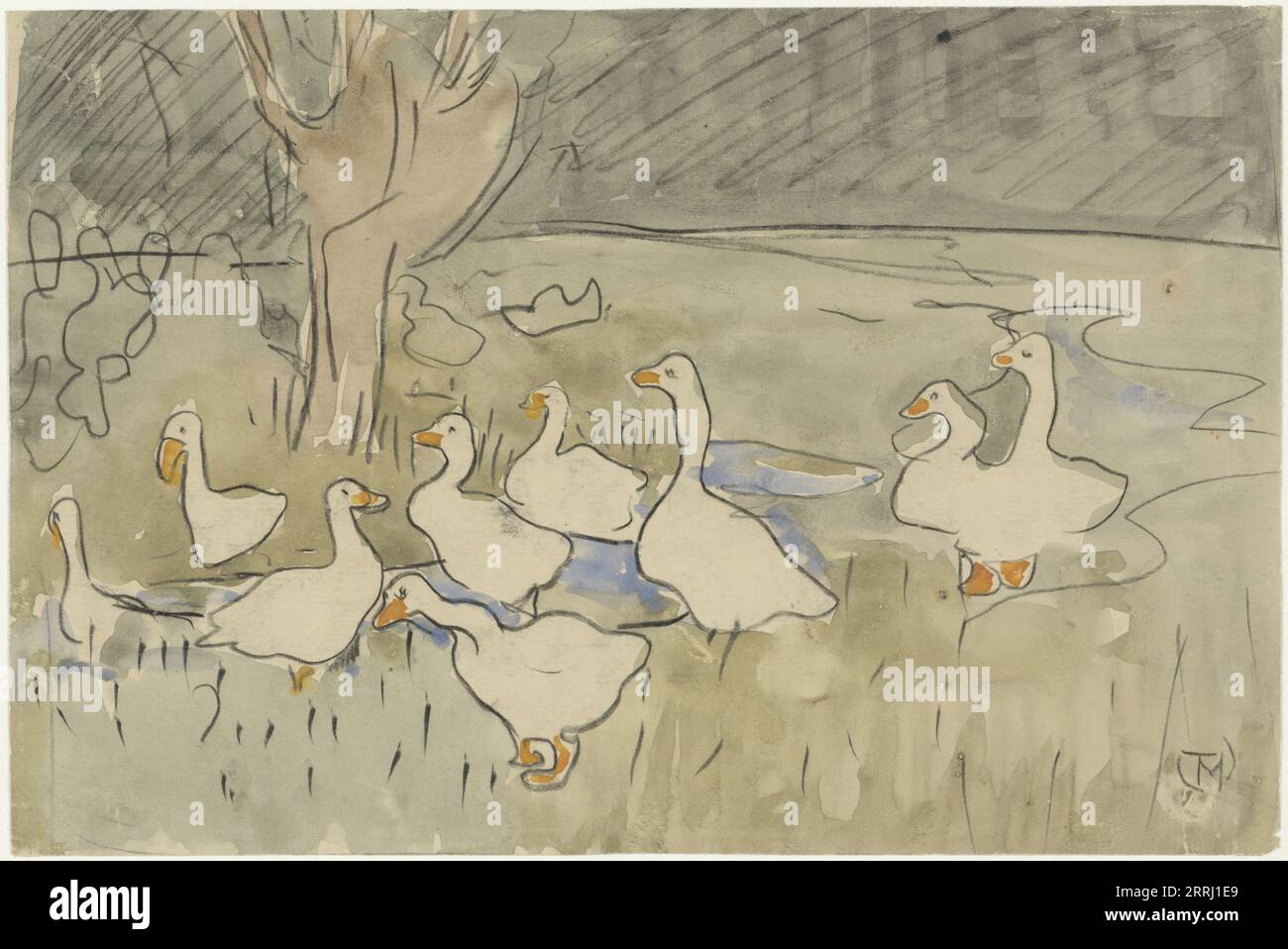 Sketches of ducks hi-res stock photography and images - Alamy