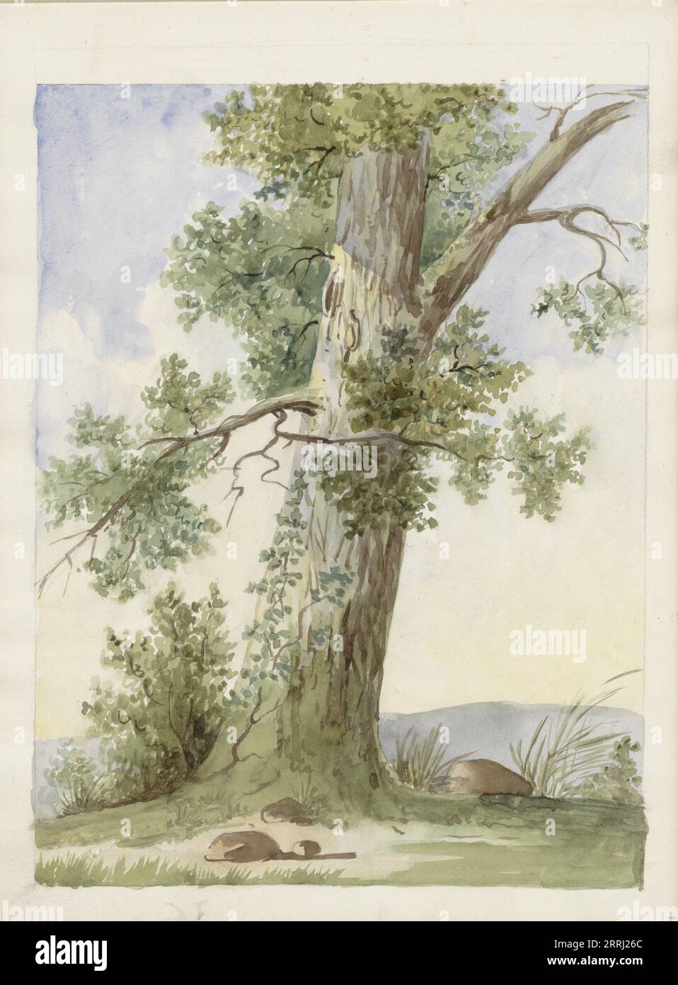C 1819 c 1870 hi-res stock photography and images - Alamy