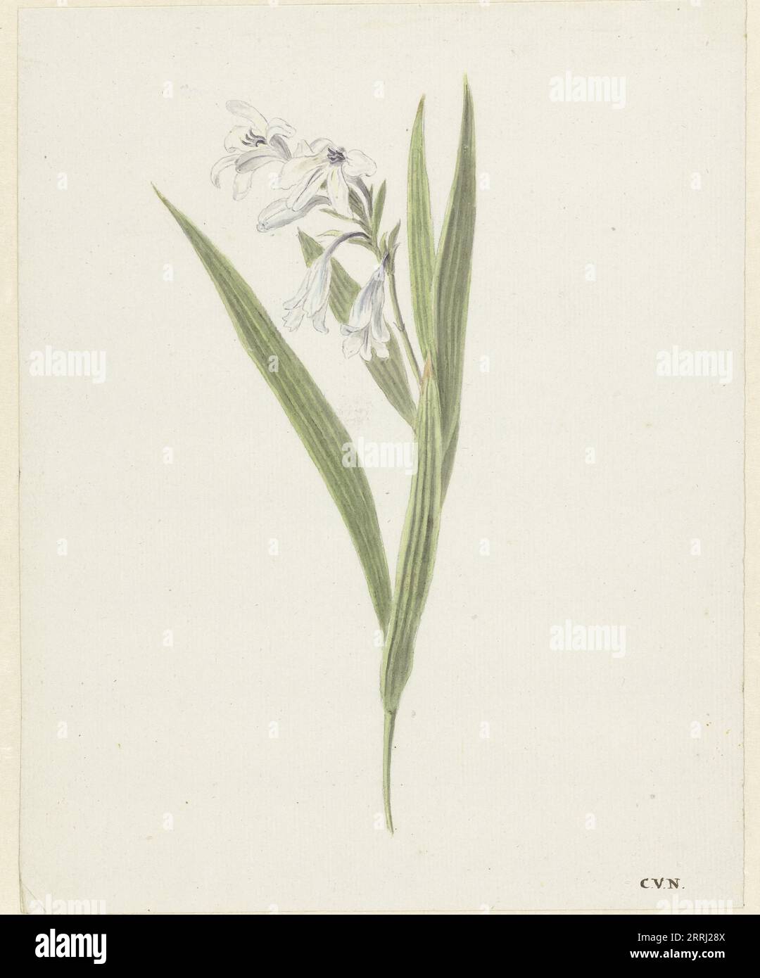 1750s 1770s hi-res stock photography and images - Alamy