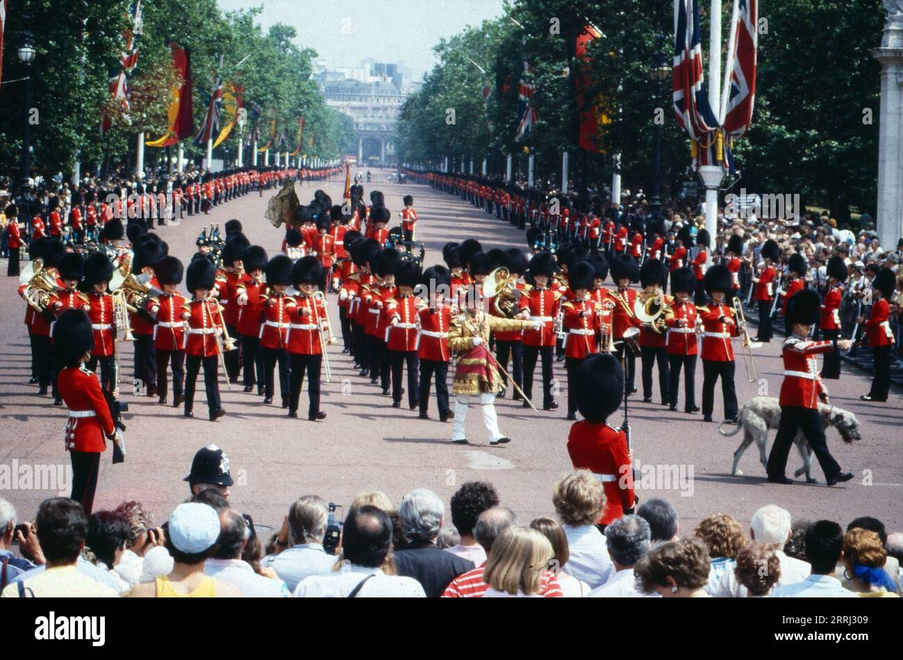 Wachsoldaten ziehen zum Buckingham Palace auf die Mall anlässlich des ...