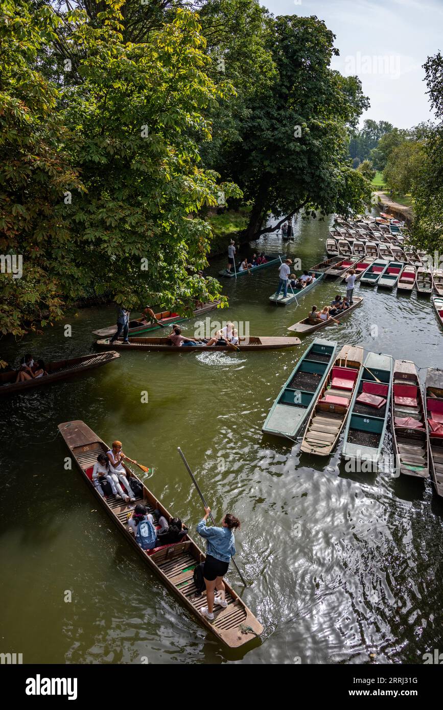 Oxford, UK, 8th September 2023. Students having fun punting on the ...