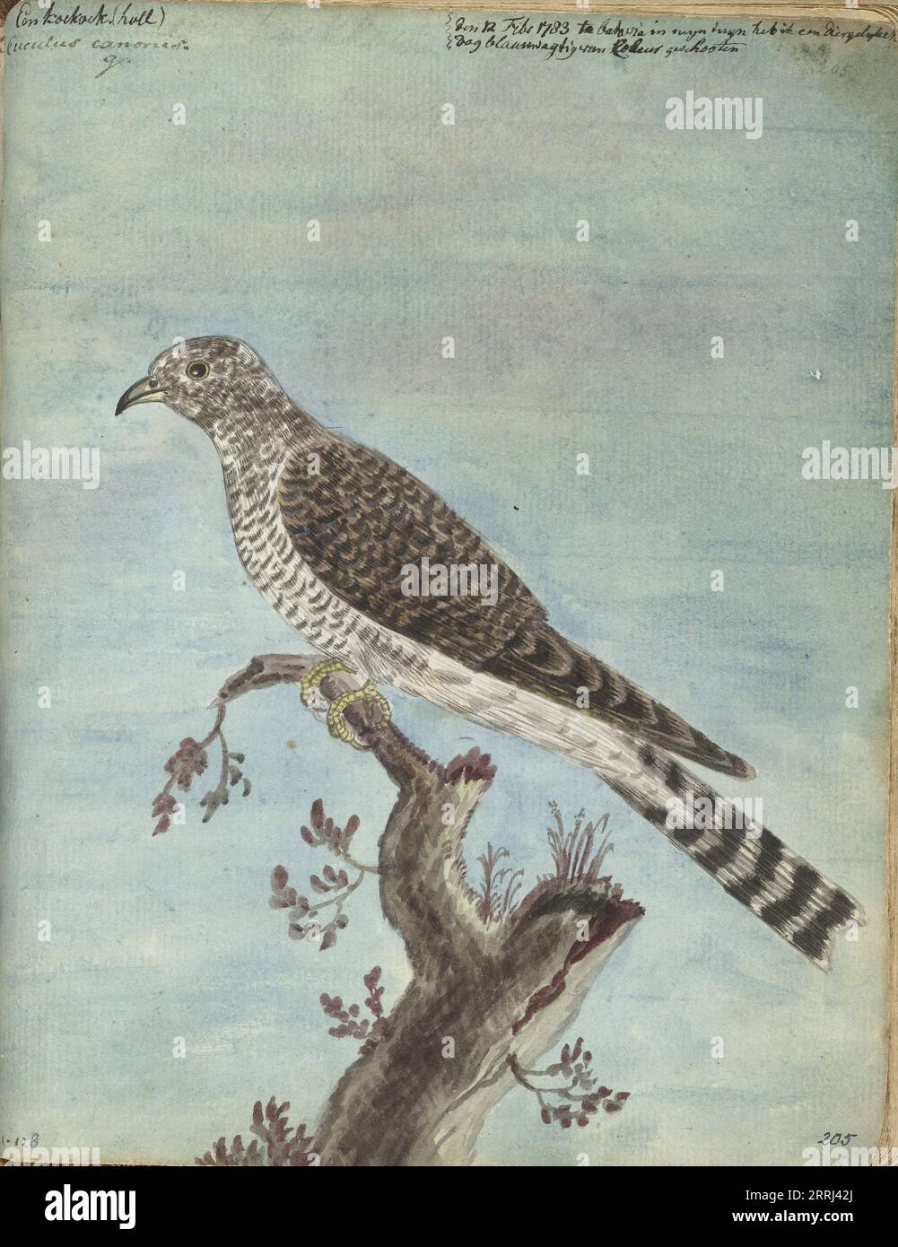 18th century pencil sketches hi-res stock photography and images - Alamy