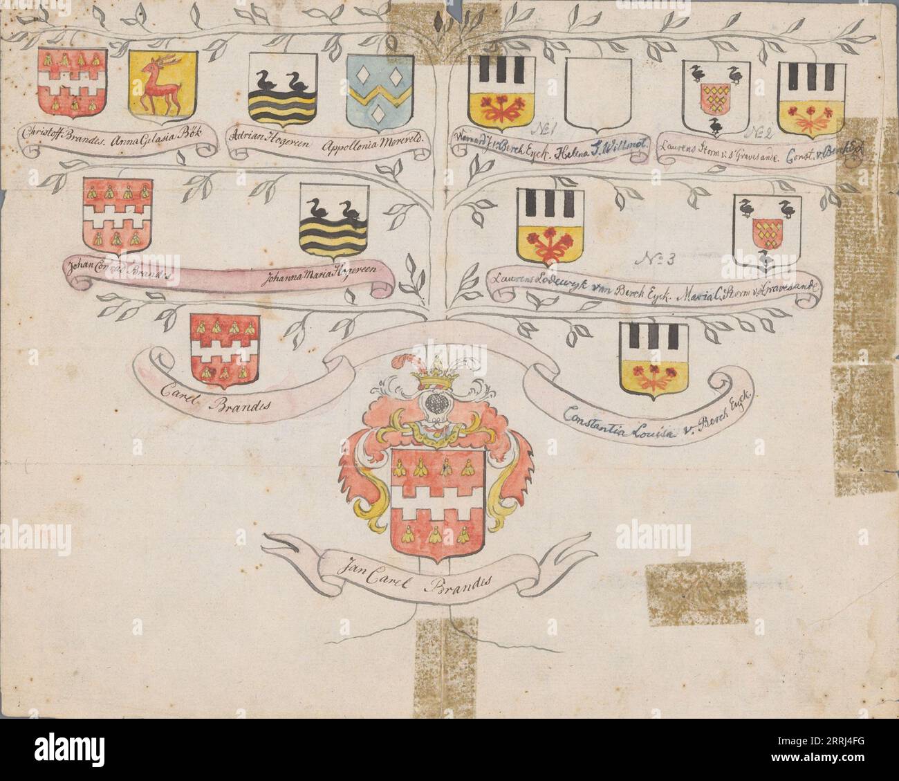 Heraldry family tree hi-res stock photography and images - Alamy