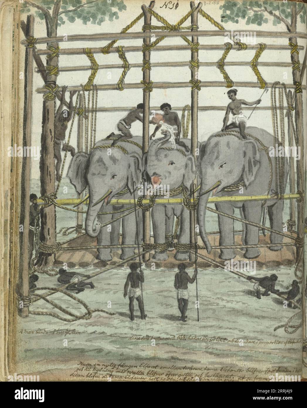 Taming an elephant, 1785. Pen or stable built of bamboo framework in ...