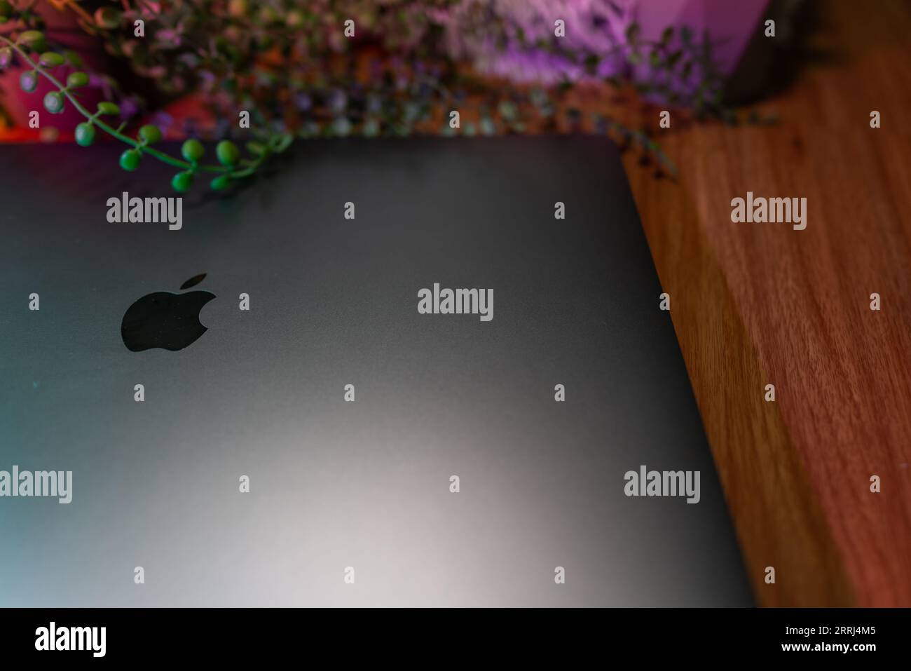 Laptop back with colorful lights - Apple Macbook pro computer Stock ...