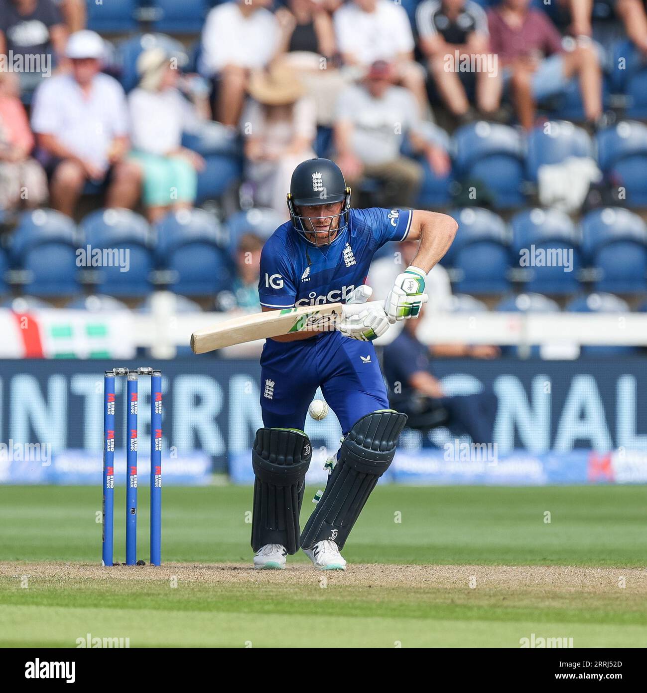 Joss buttler new zealand hi-res stock photography and images - Alamy