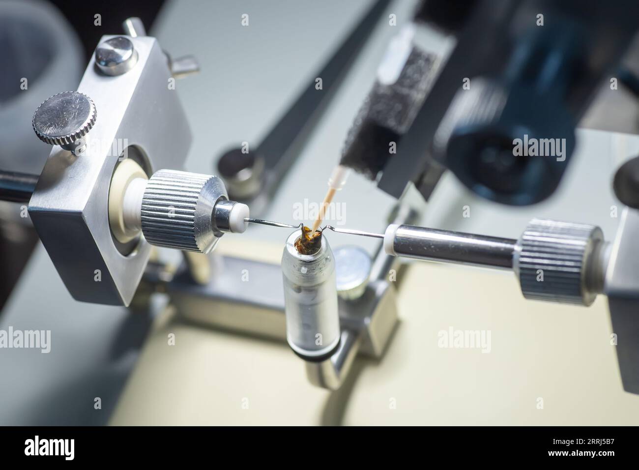 Efficient Mating Equipment Professional Queen Bee Artificial ...