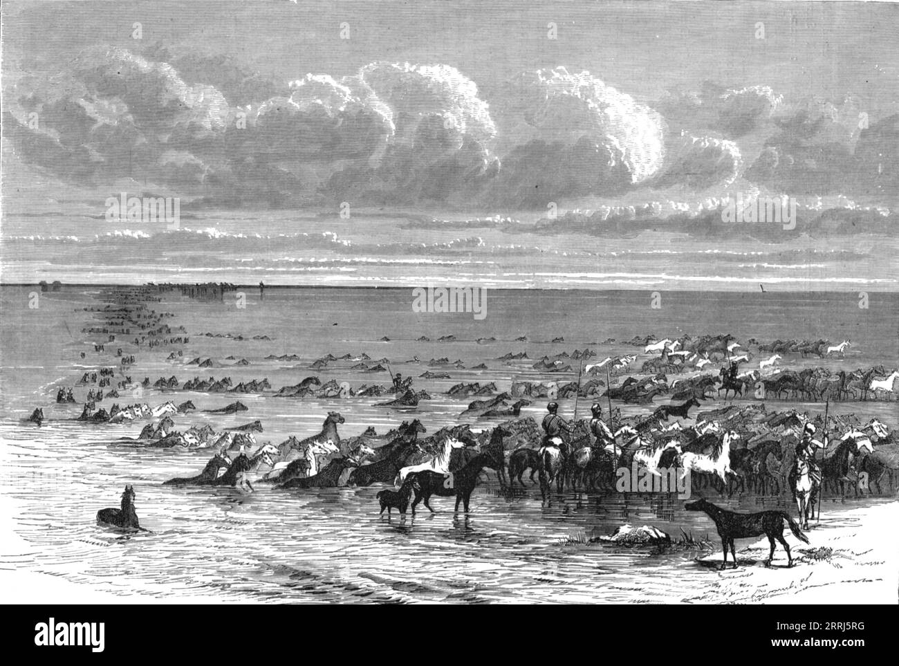 'A troup of horses crossing the Volga; A Journey on the Volga', 1875 ...
