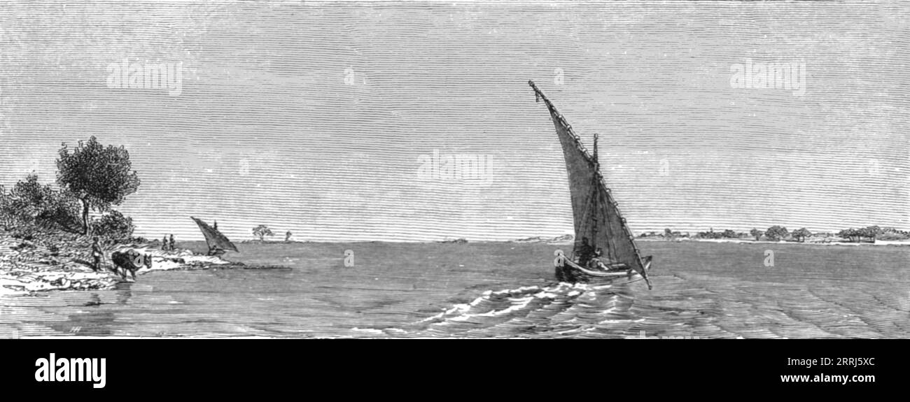 'View of the White Nile; The Nile Valley above Khartum', 1875. From ...