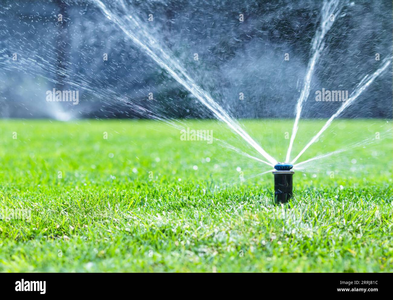 Irrigation system in home garden. Automatic watering lush green lawn ...