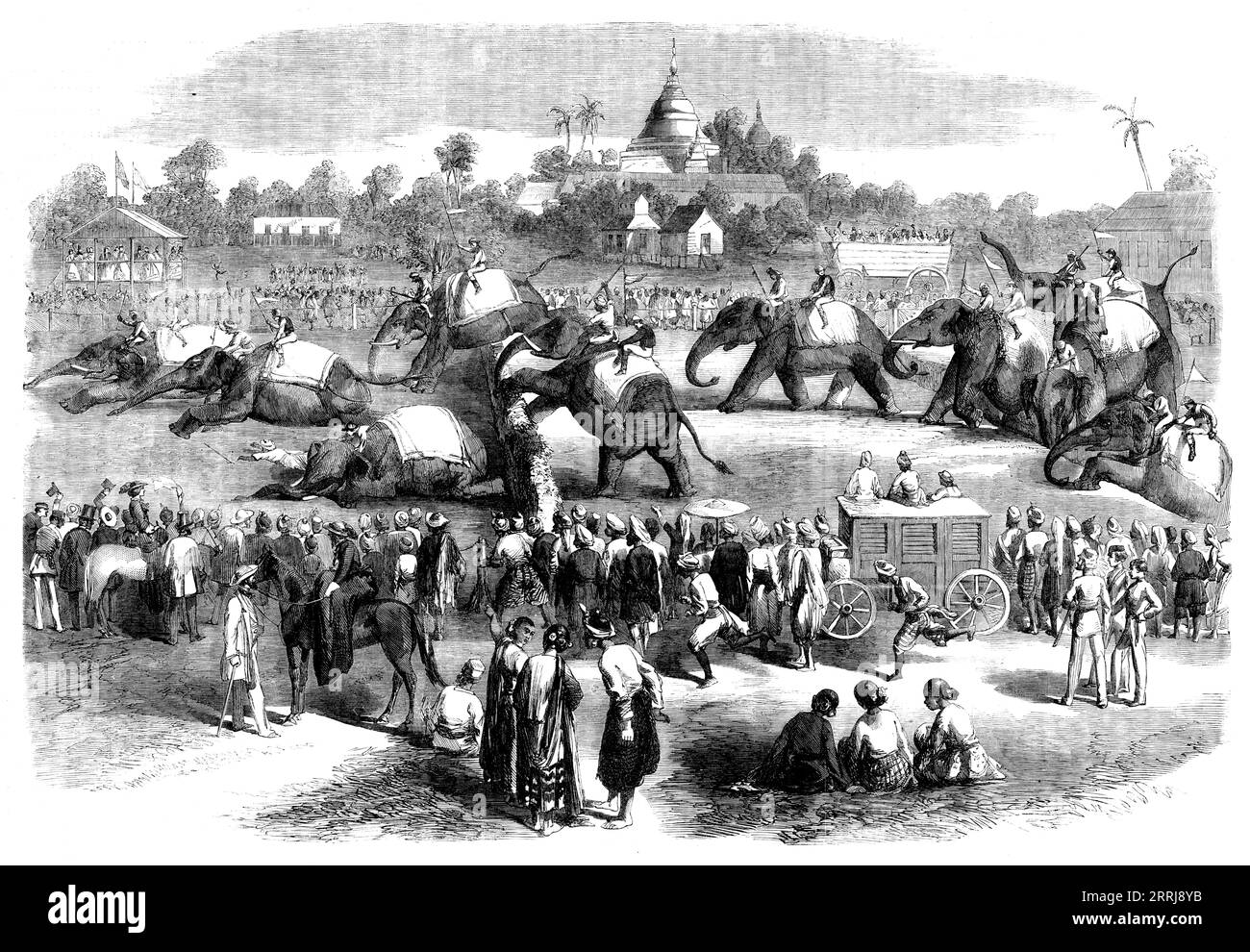 Female mahout Black and White Stock Photos & Images - Alamy