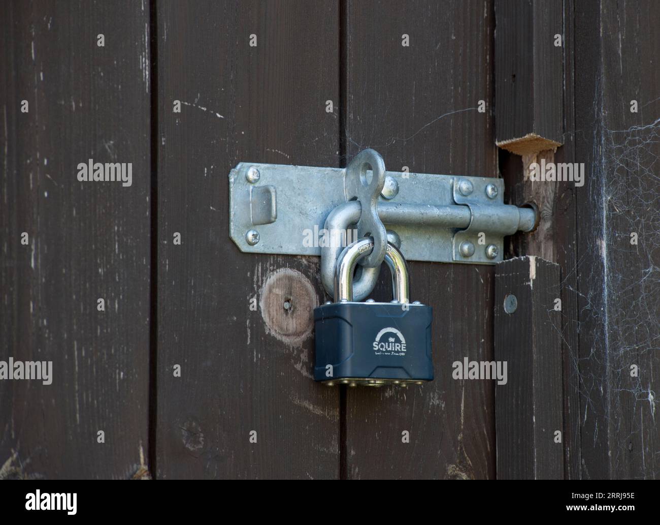 Brenton Padbolt Fitted to a Wooden Door and Locked with a Squire ...