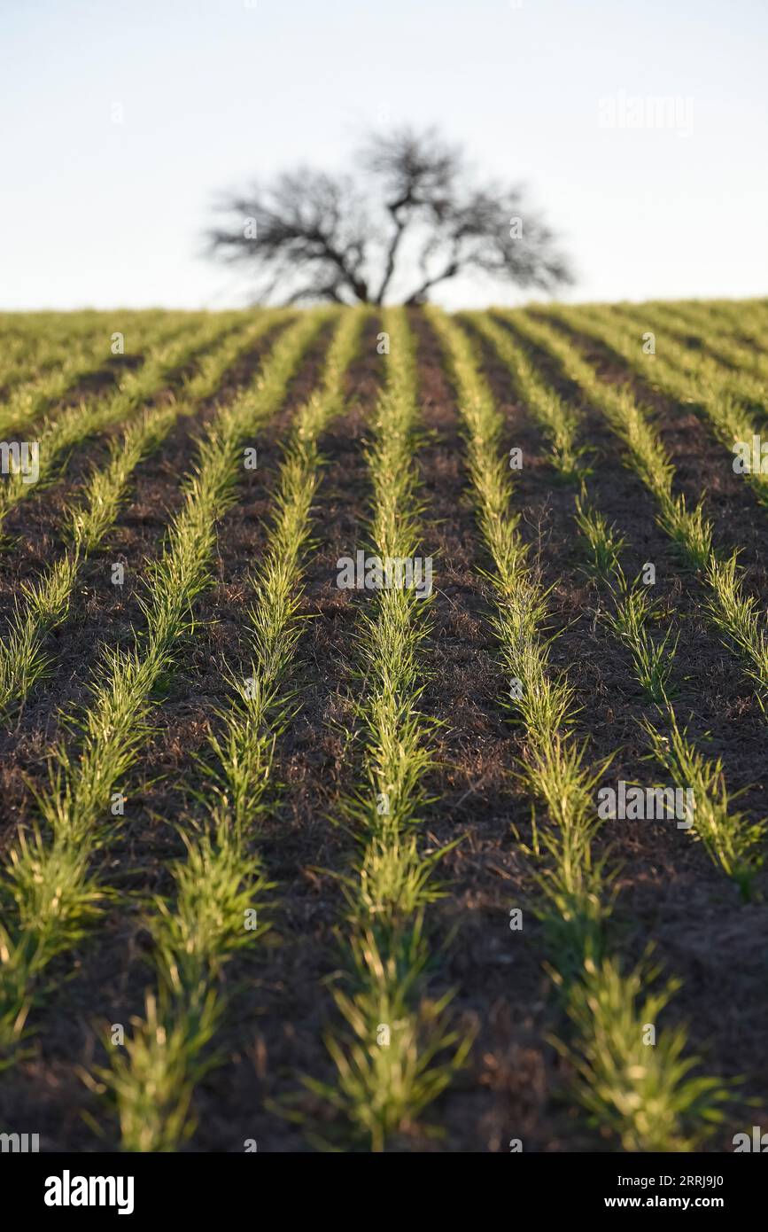 Grooves and furrows hi-res stock photography and images - Alamy