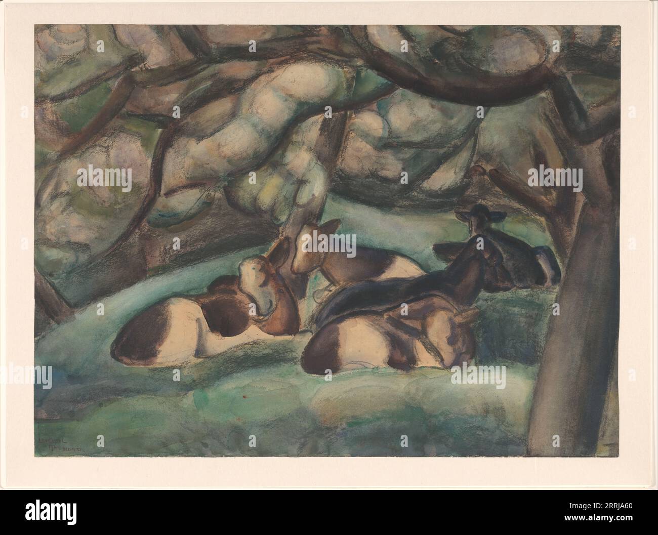 Beemster cow hi-res stock photography and images - Alamy