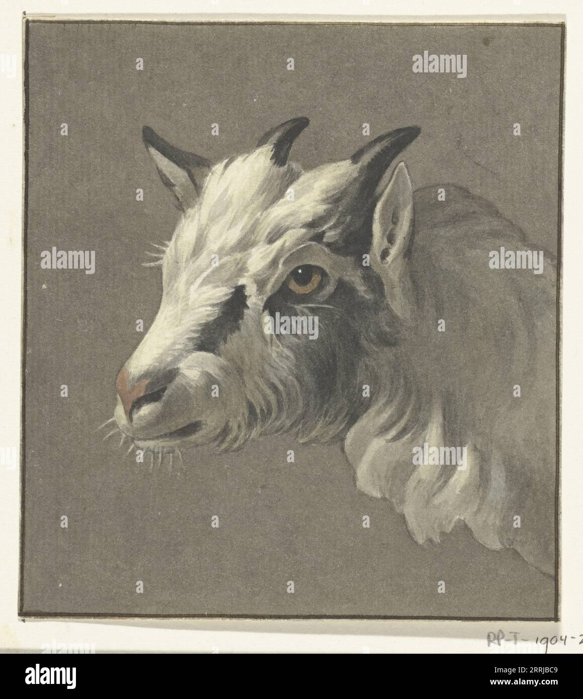 Head of a goat hi-res stock photography and images - Alamy