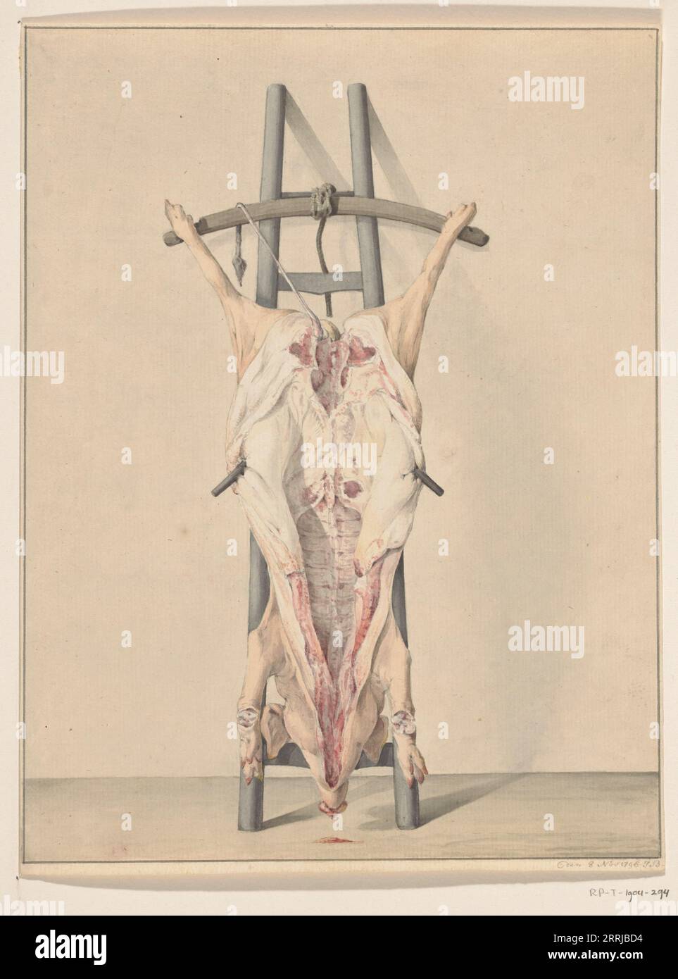 The slaughtered hog hi-res stock photography and images - Alamy