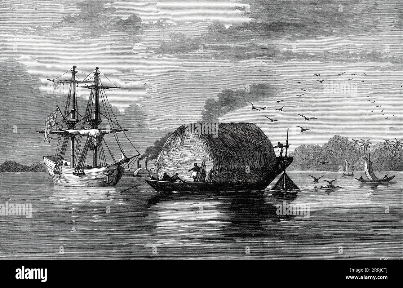 British steam ships in india hi-res stock photography and images - Alamy