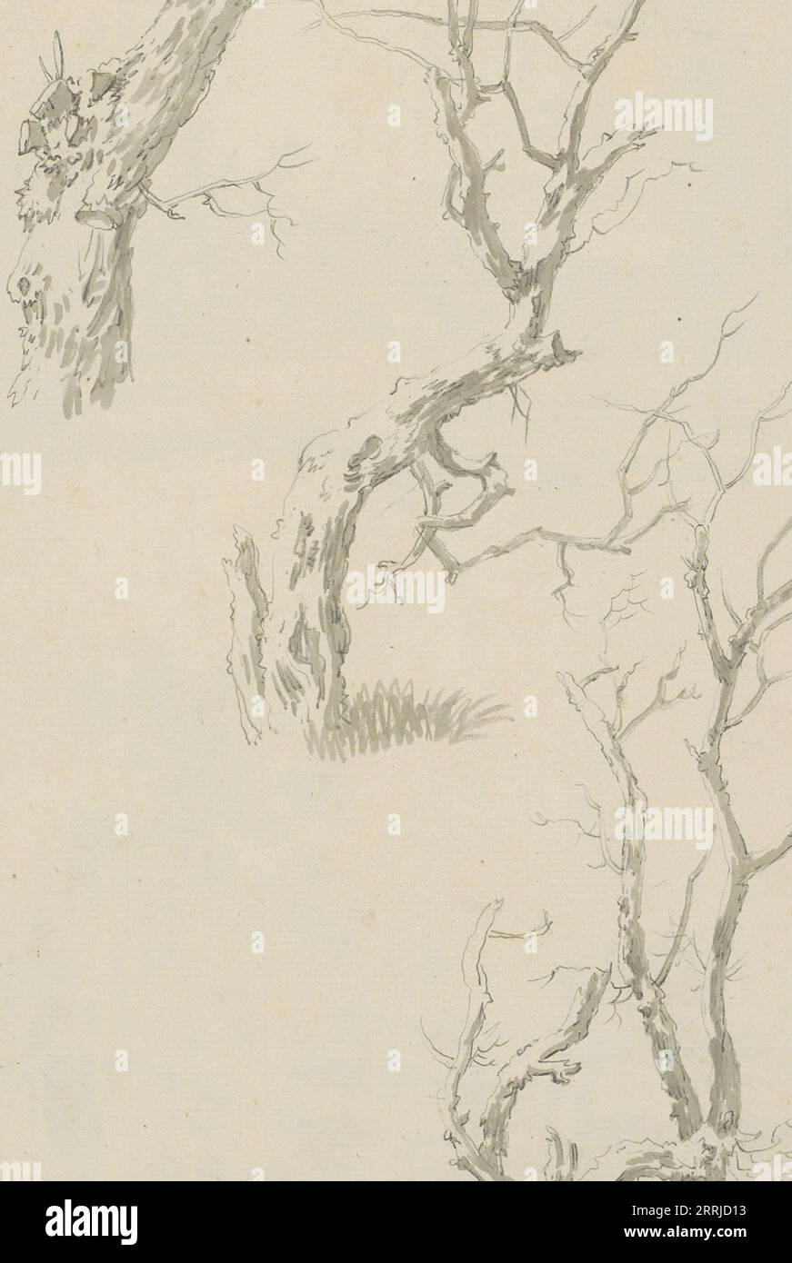 Le thiere hi-res stock photography and images - Alamy