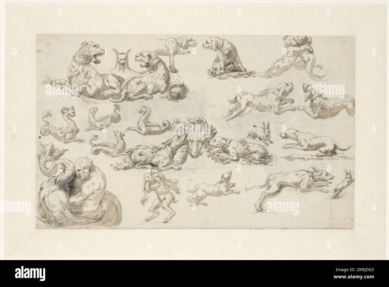 Alessandro baudi di vesme hi-res stock photography and images - Alamy