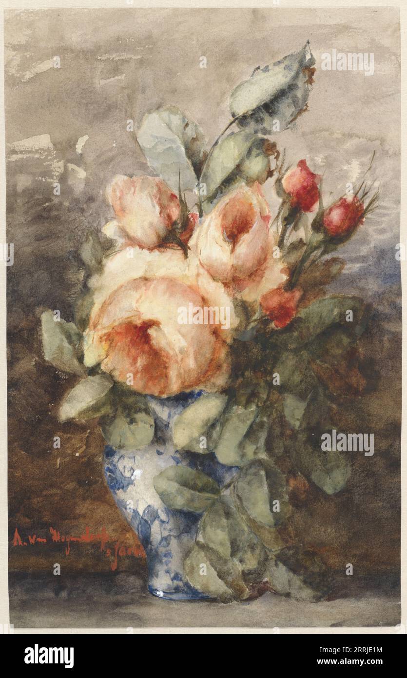 Roses jacqueline hi-res stock photography and images - Alamy