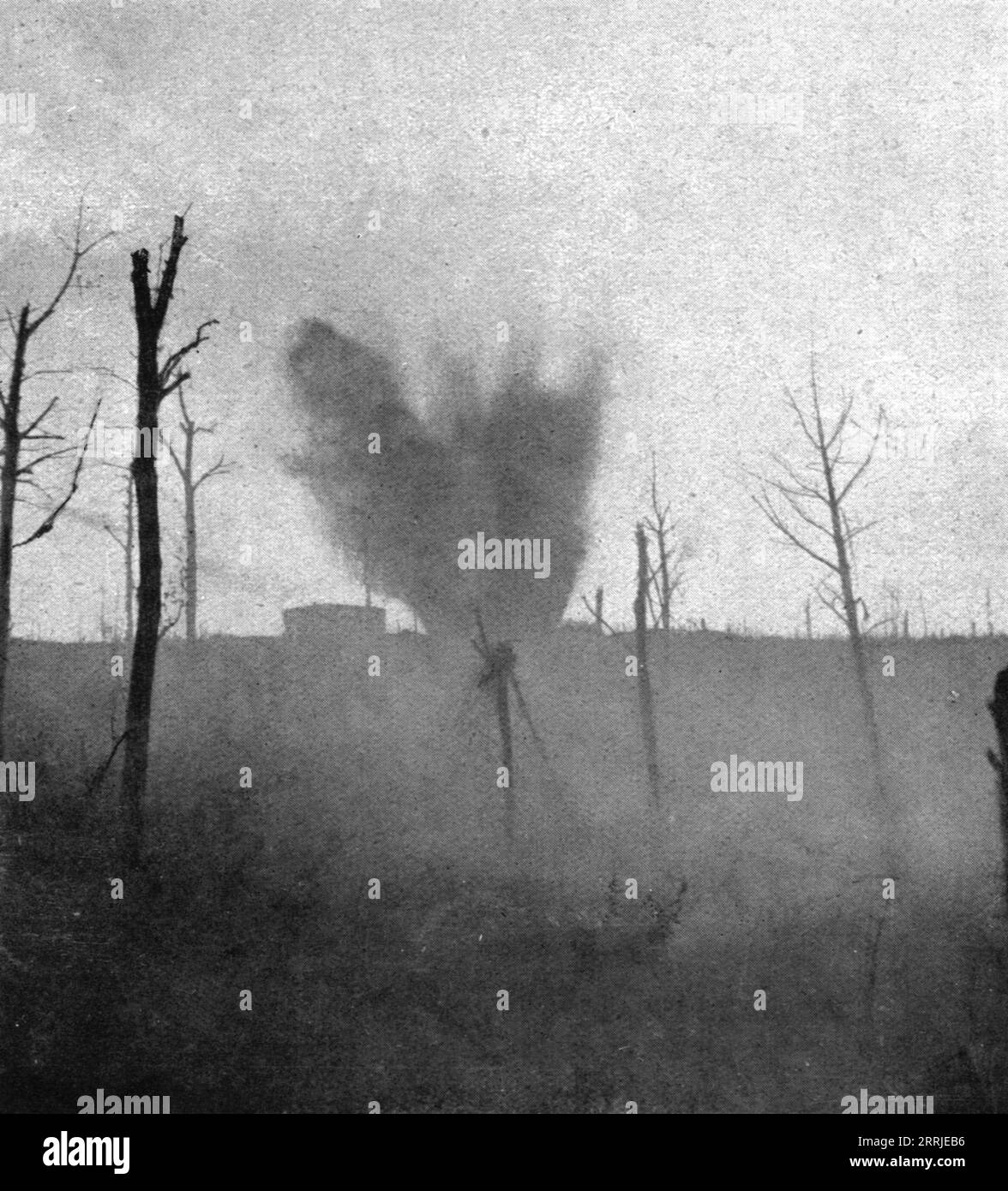 Scorched earth ww1 hi-res stock photography and images - Alamy