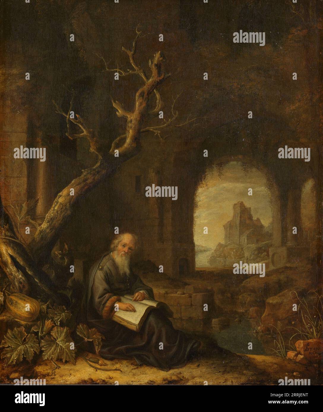 Bearded hermit hi-res stock photography and images - Alamy