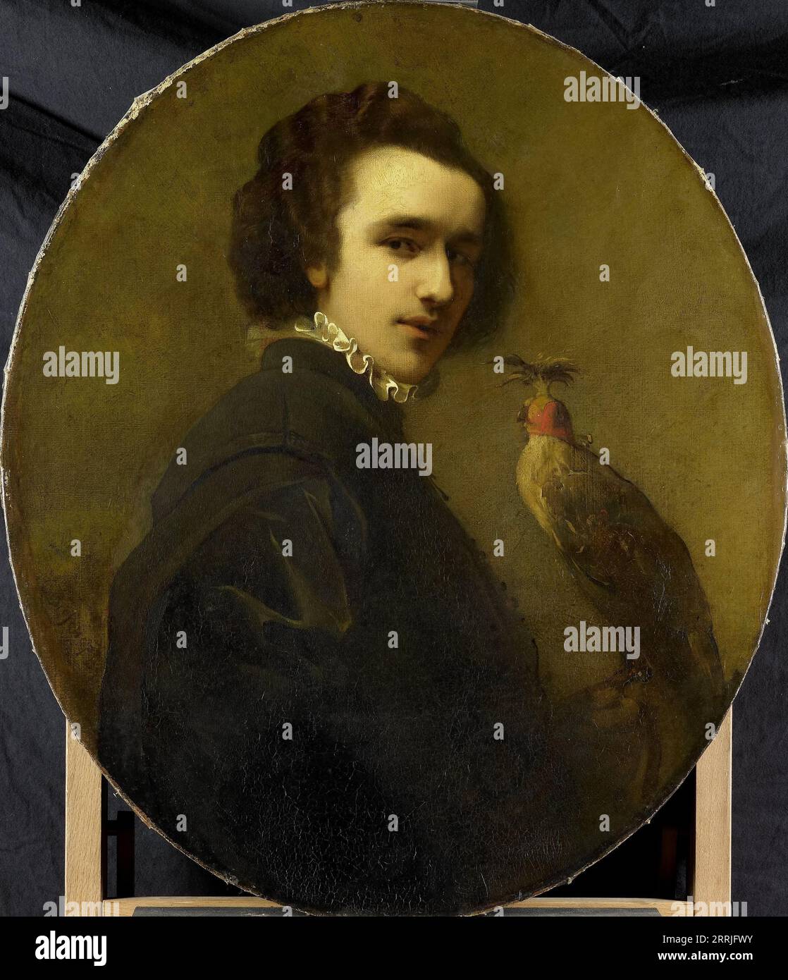 The Falconer, 1850-1880 Stock Photo - Alamy