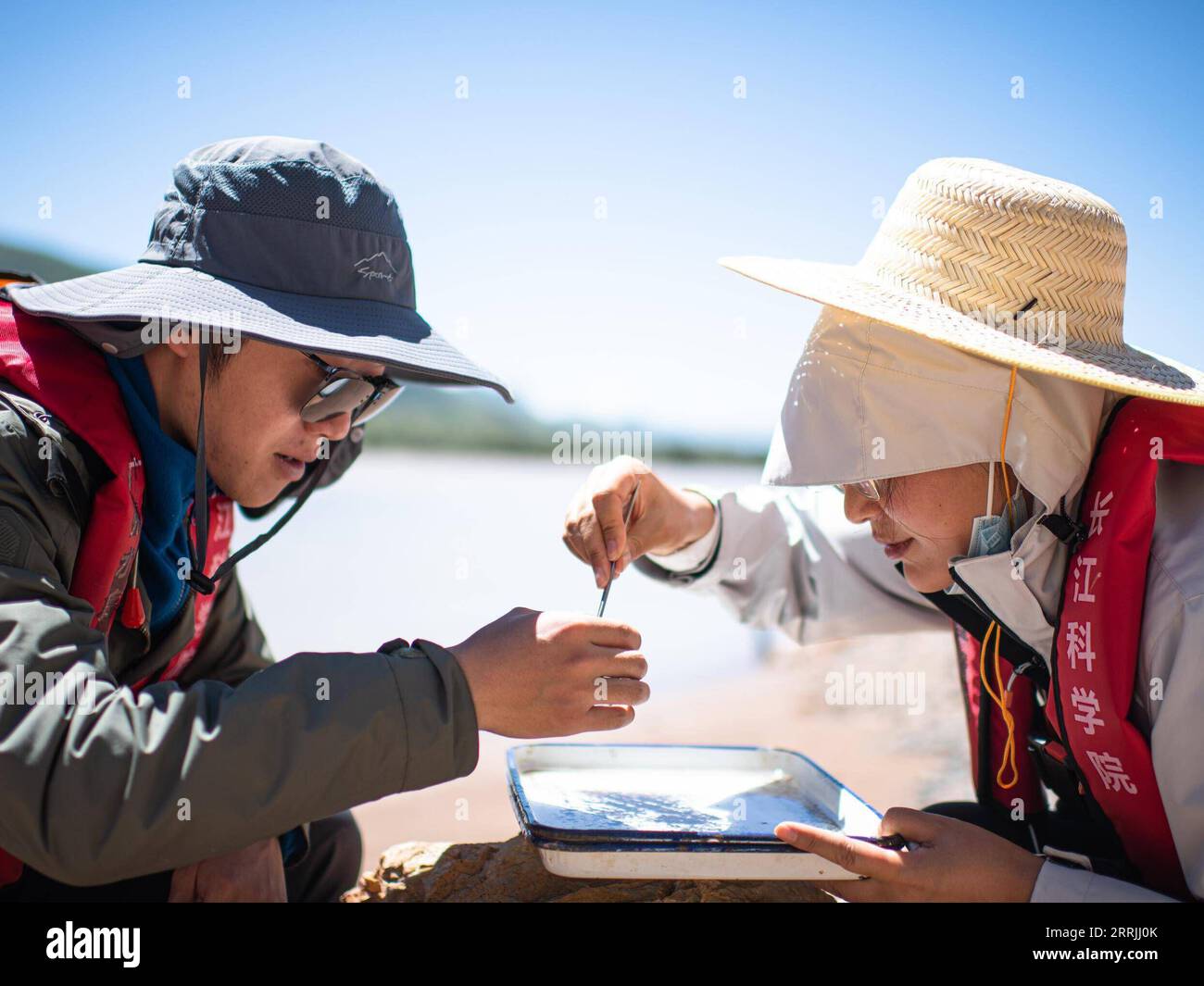 Benthonic hi-res stock photography and images - Alamy