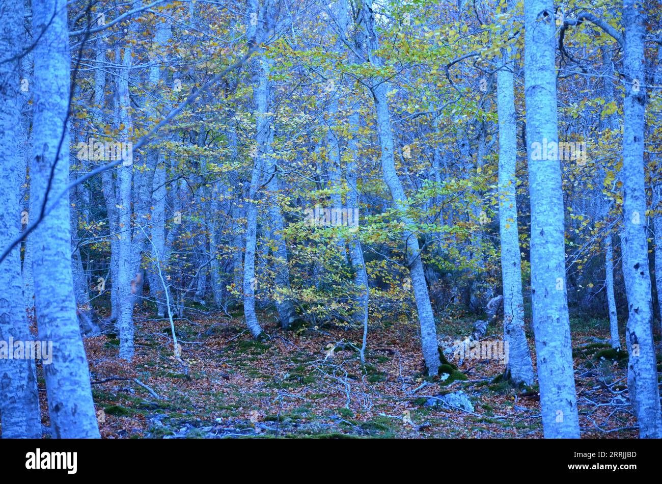 Iberian system moncayo hi-res stock photography and images - Alamy