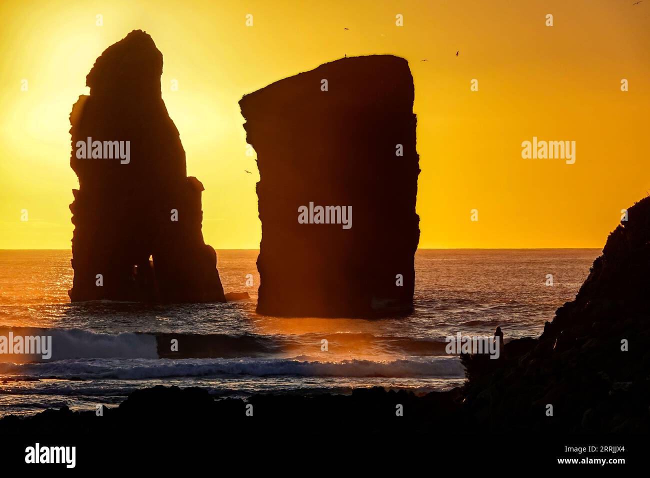 Massive sea stacks silhouetted by the sunset on Ponta dos Mosteiros in ...