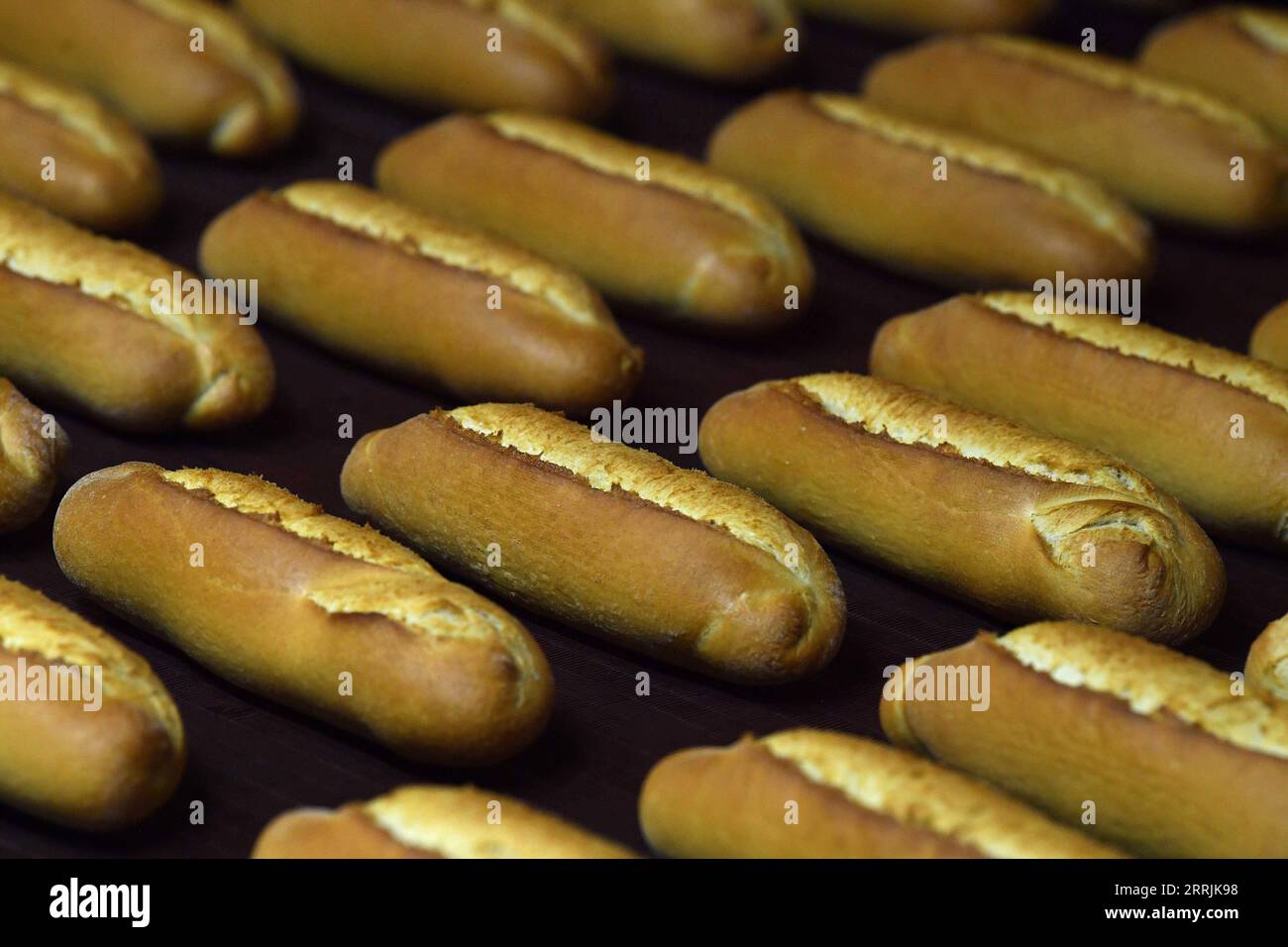 220728 -- ISTANBUL, July 28, 2022 -- Photo taken on July 19, 2022 shows ...