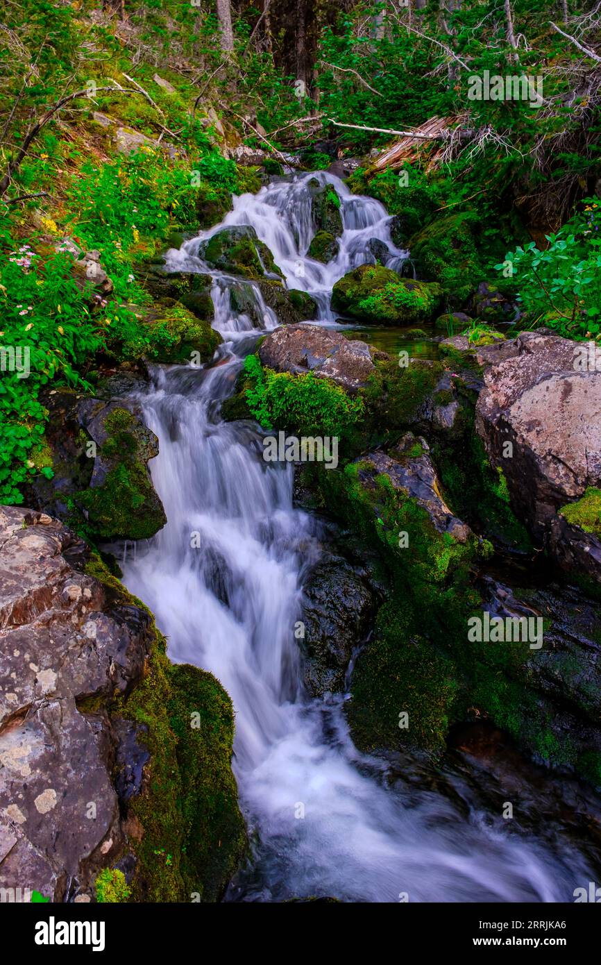 Mini cascading waterfalls hi-res stock photography and images - Alamy