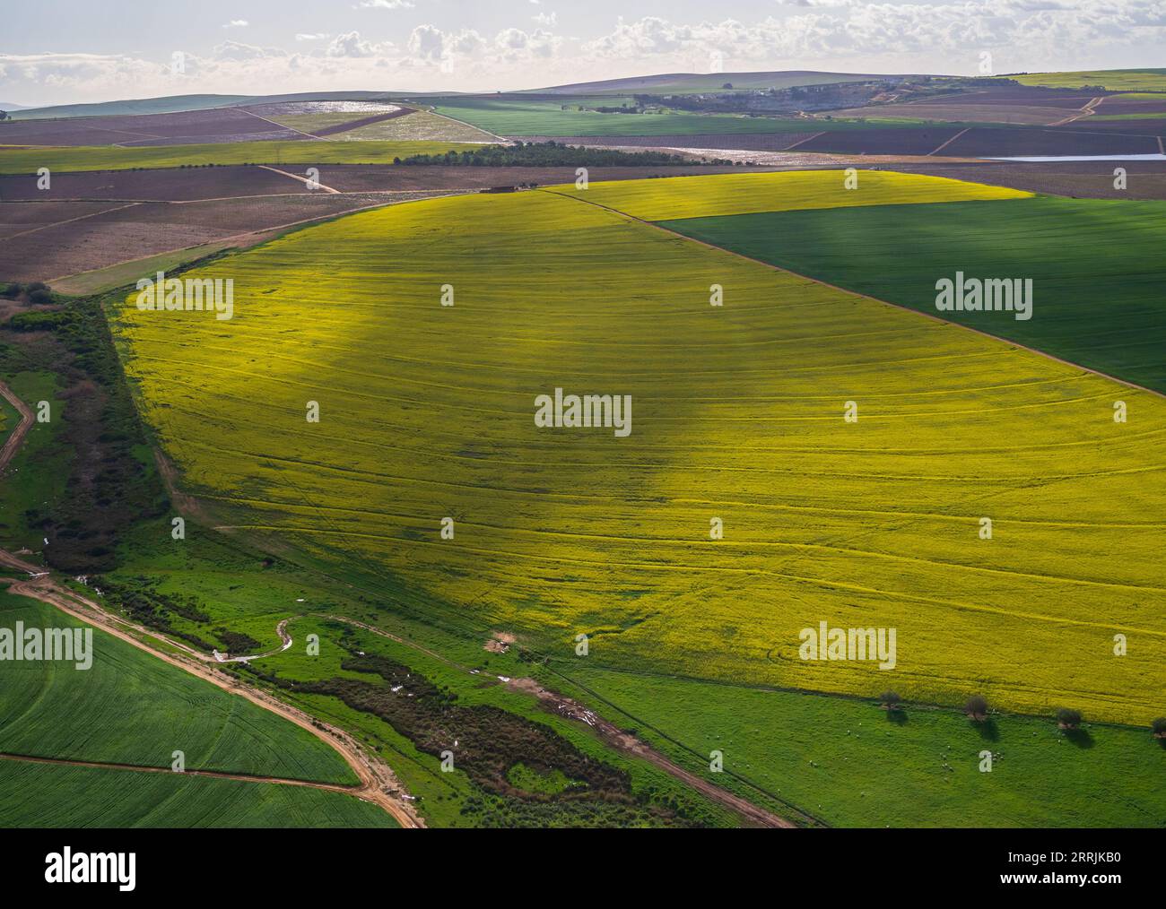 Beautiful spring landscape western hi-res stock photography and images ...