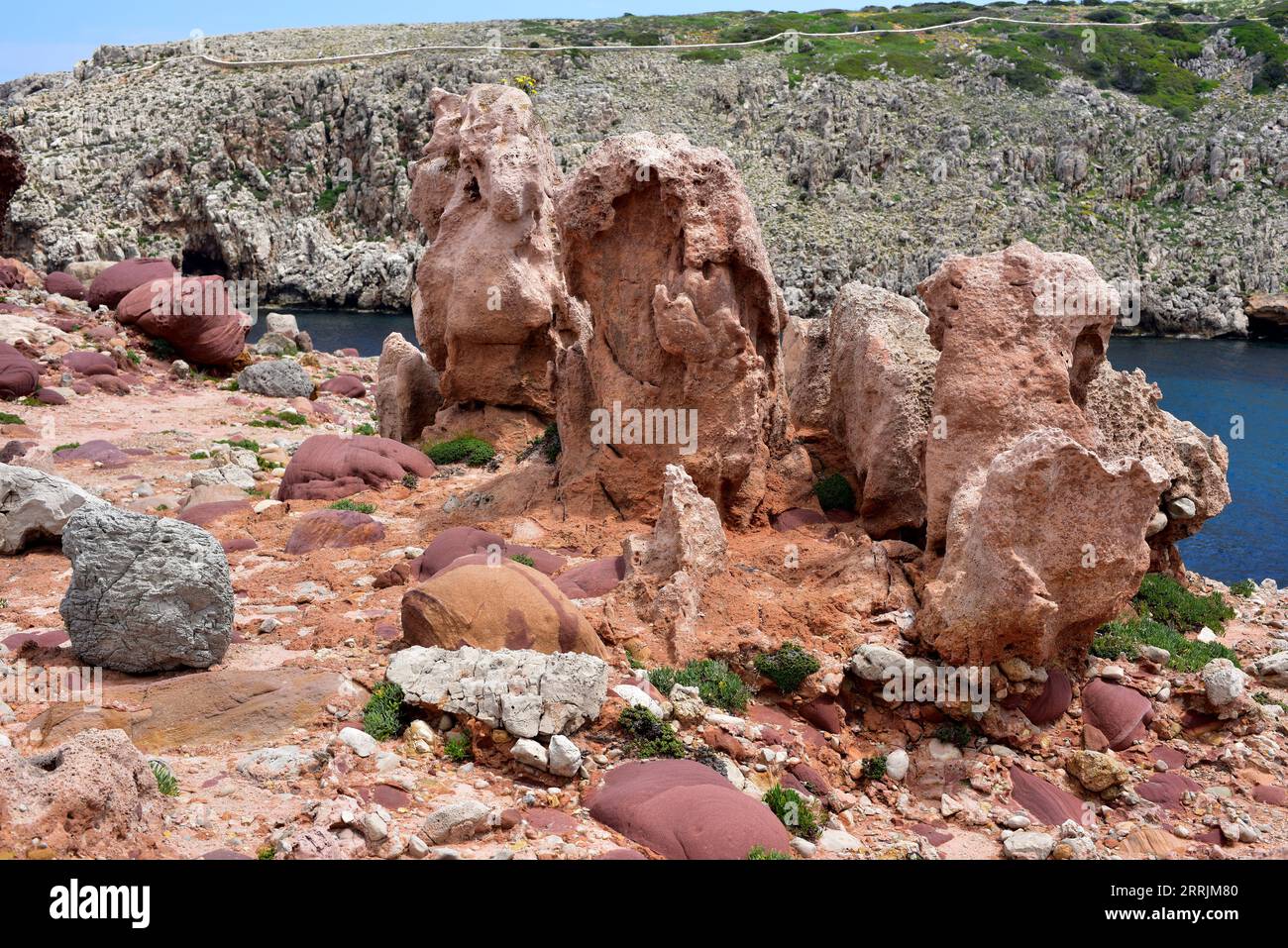 Miocene conglomerate with sandstone and limestone pebbles (in front ...