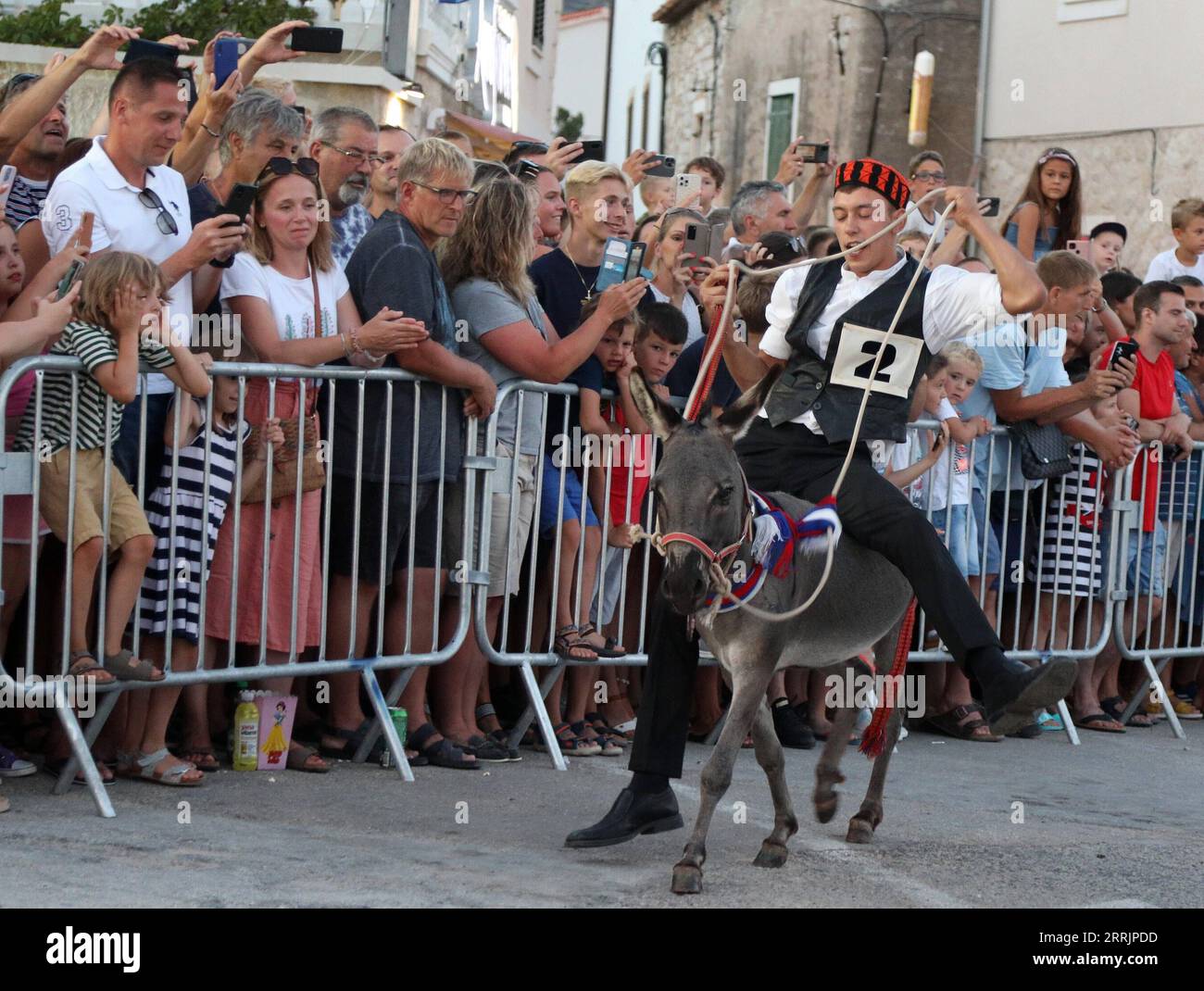 Spcroatia tribunj donkey hi-res stock photography and images - Alamy